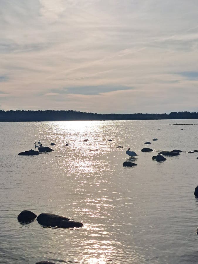 Evening Sunshine Reflection on the Sea Stock Photo - Image of painting ...