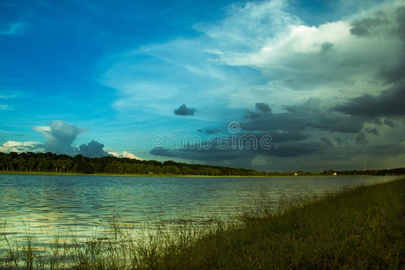 Evening swamp stock image. Image of natural, reflection - 79777299