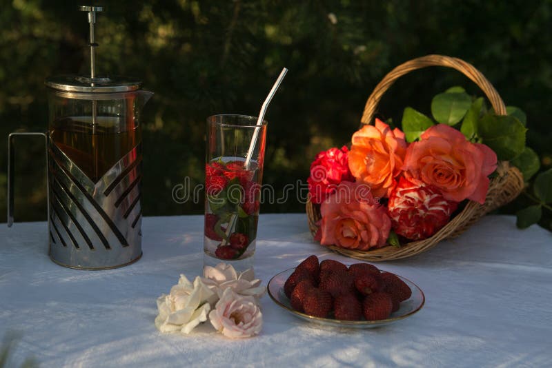 Evening Tea and Fruit at Sunset. Roses Glow in the Sunset Stock Photo ...