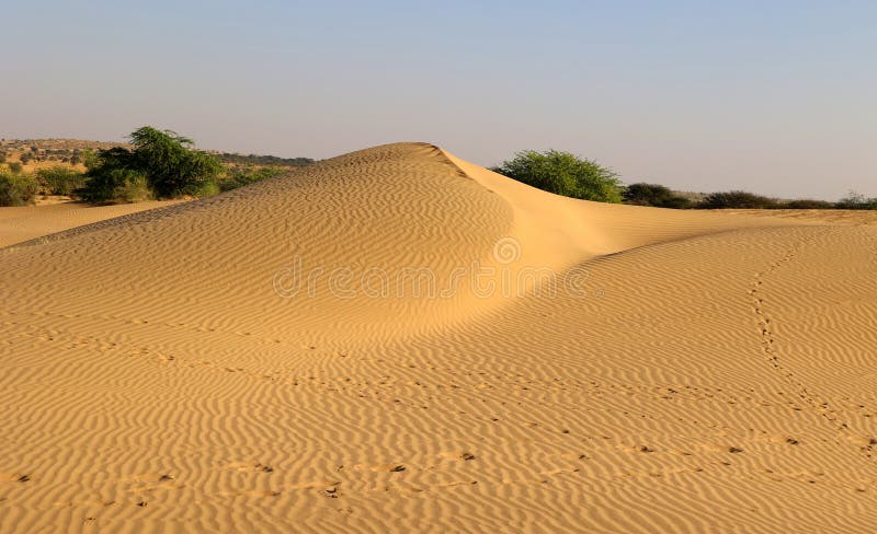 Evening in Thar Desert in Rajasthan Stock Image - Image of footprints ...
