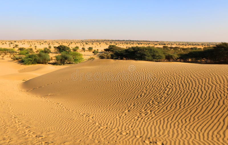 Evening in Thar Desert in Rajasthan Stock Photo - Image of area, beauty ...
