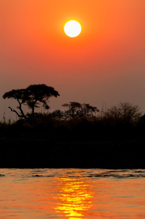 Evening Theme stock photo. Image of africa, botswana - 31495570