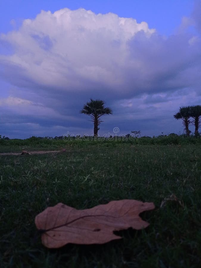 Evening Time Image Nice Looking Sky Beautiful Very Nice Stock Image ...