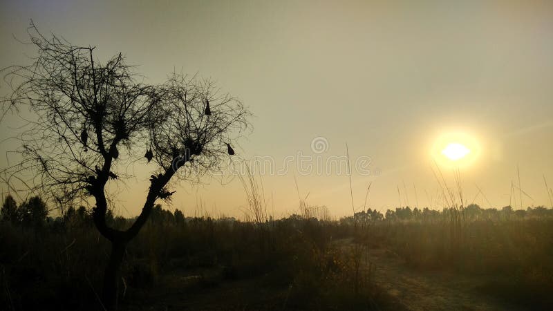 Evening Time Pictures with Sun Set. Stock Photo - Image of time ...