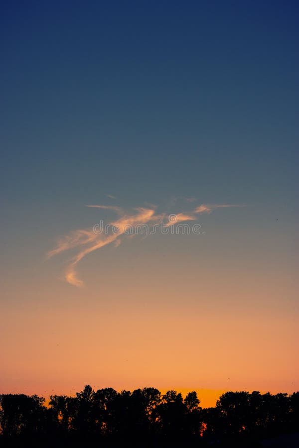 In Evening Time Closeup Silhouette Tree Stock Image - Image of ...