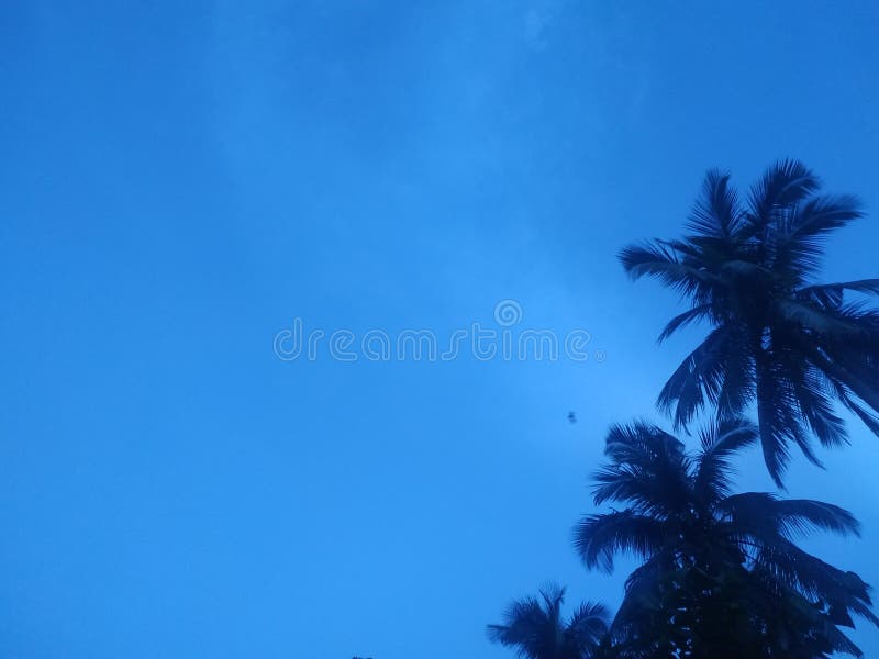 Evening Time Sky View Background Stock Photo - Image of lighting, dusk ...