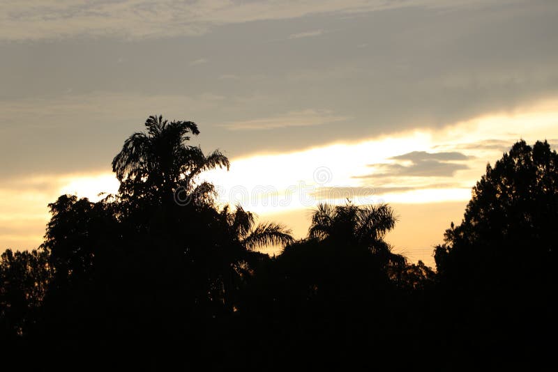 Evening time stock photo. Image of time, animals, evening - 157432920