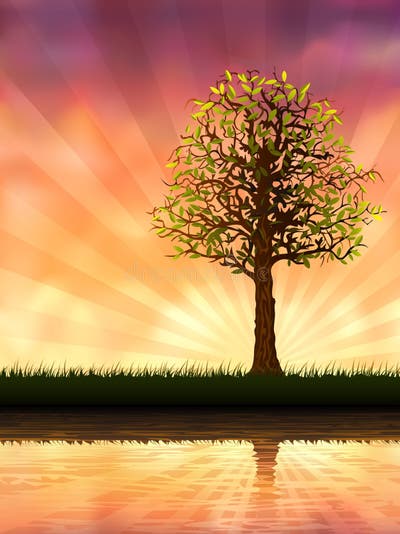 Calm Tree Stock Illustrations – 275,404 Calm Tree Stock Illustrations ...
