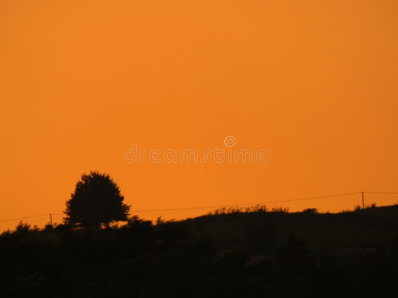 Evening Tree Scenery stock photo. Image of dramatic, electric - 98107608