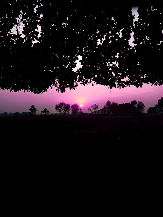 Evening a Very Good Time Today Stock Photo - Image of evening, time ...