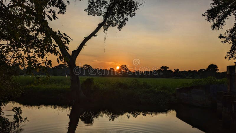 Evening vibe on lake bank stock image. Image of bank - 368699169