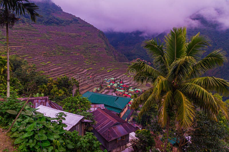 Evening View of Batad Rice Terraces, Luzon Island, Philippin Stock ...