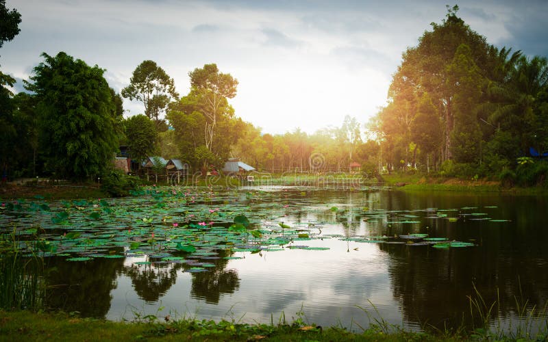 Evening View in the Countryside of Thailand Stock Image - Image of ...