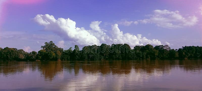 Evening View of the Katingan River Stock Photo - Image of katingan ...