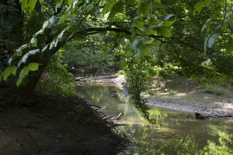 Evening View of Small Stream Stock Photo - Image of leaf, filled: 123321630