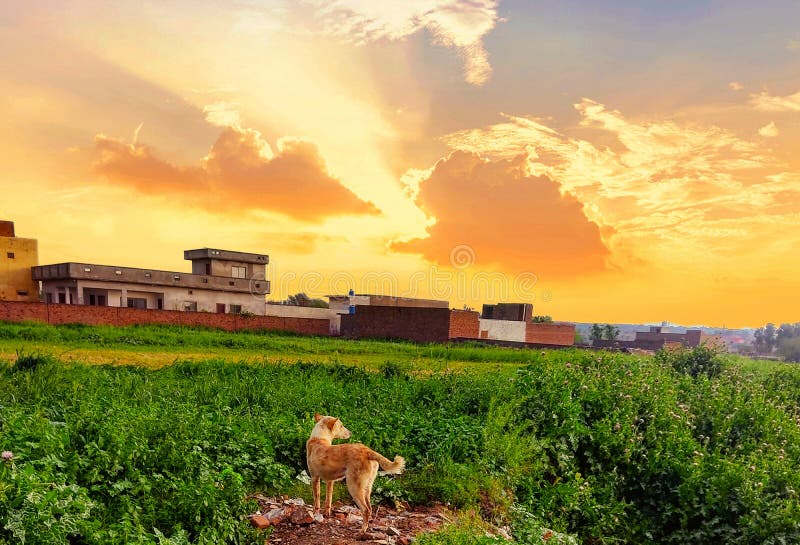 Evening view village side stock photo. Image of cloud - 221802026