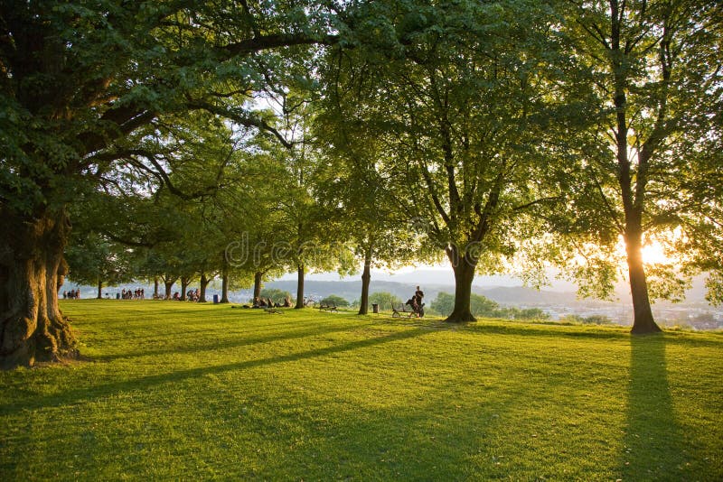 Evening Walk Picture. Image: 7948688