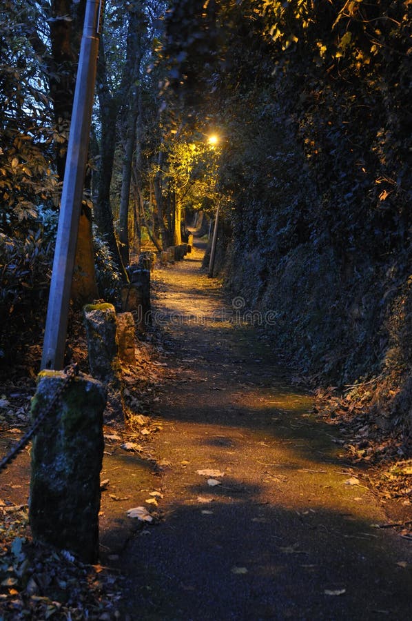 Evening Walk Along a Leafy Path Stock Photo - Image of adventure ...