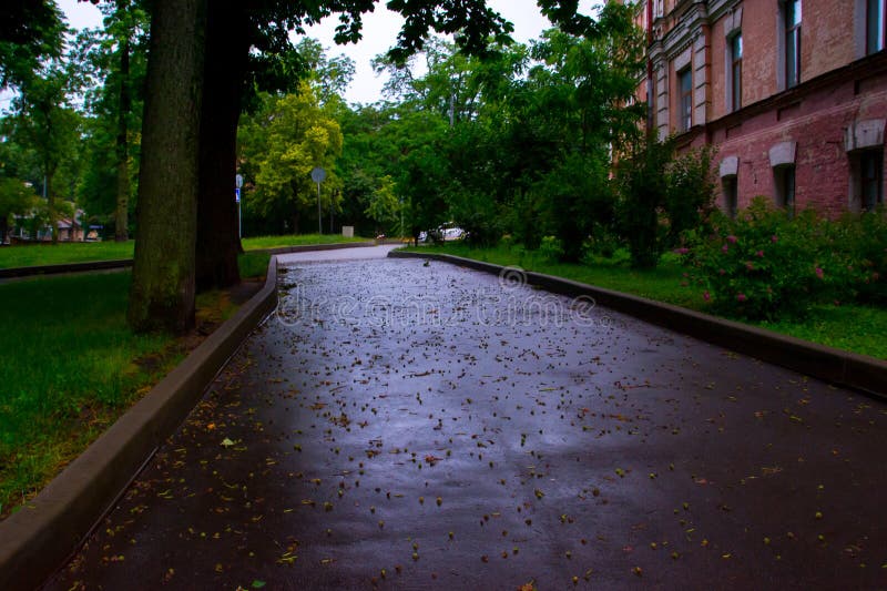 In the Evening, a Walk in a Beautiful Park. after the Rain Stock Image ...