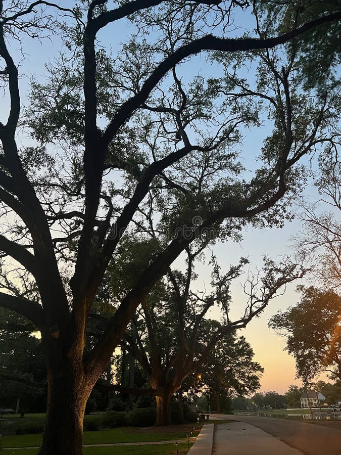 An Evening Walk, Sunset on the Beach Stock Photo - Image of sunset ...