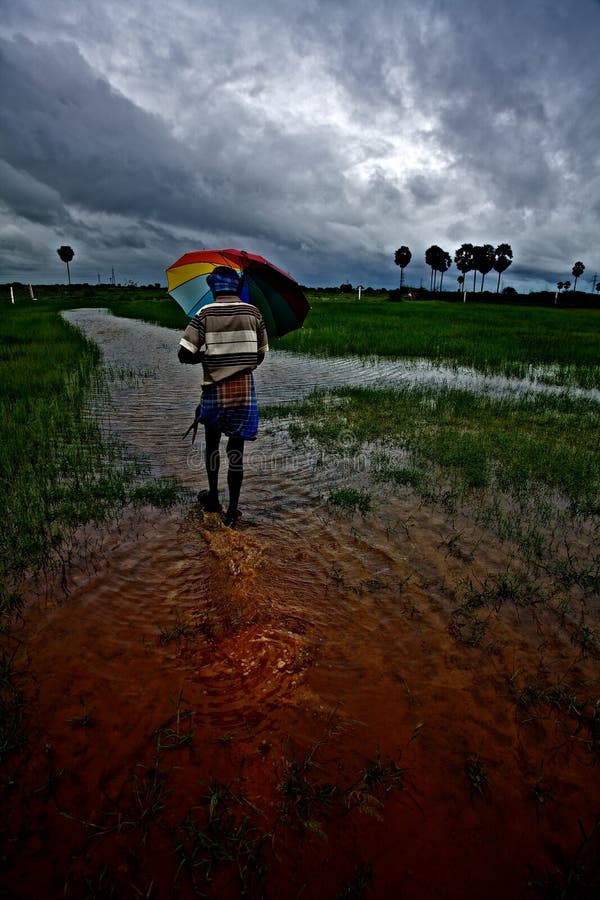 Evening walk stock image. Image of brownish, greenish - 56600599