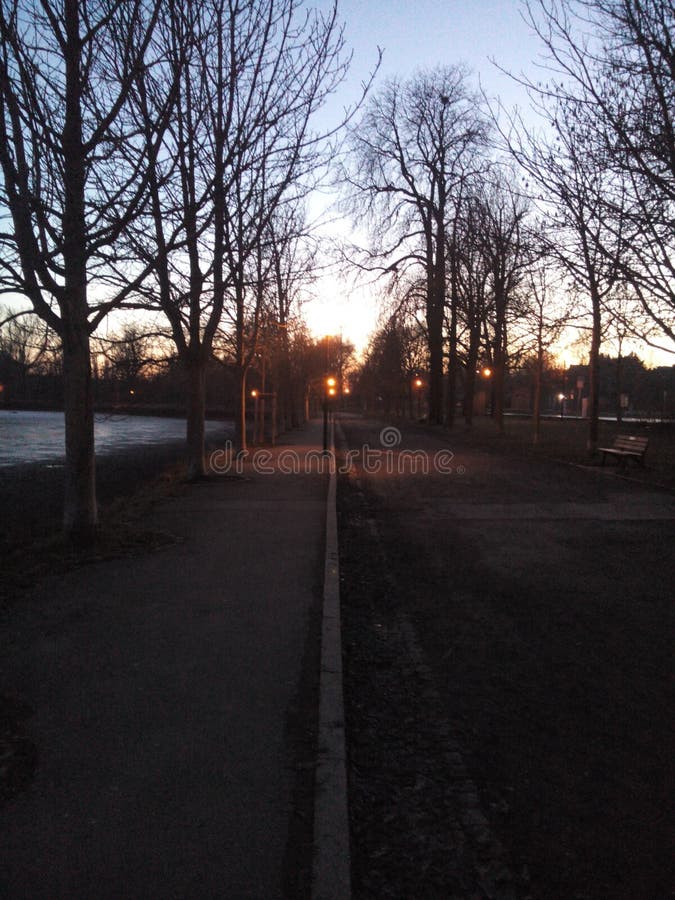 Evening walk stock photo. Image of nature, streetlantern - 114578292