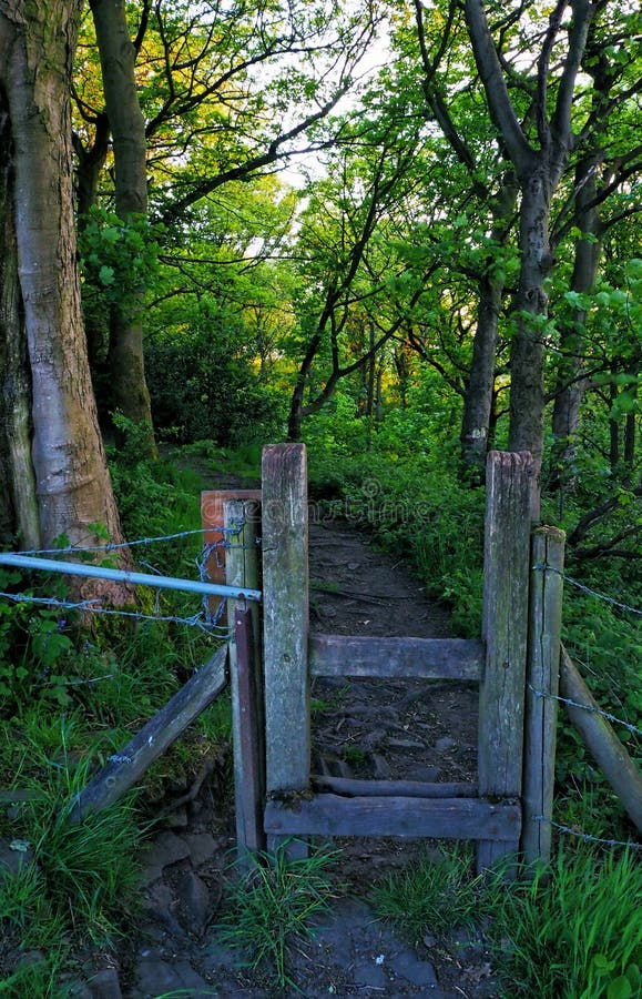 Evening Walk into Healdwood Greave Cheshire Stock Image - Image of ...