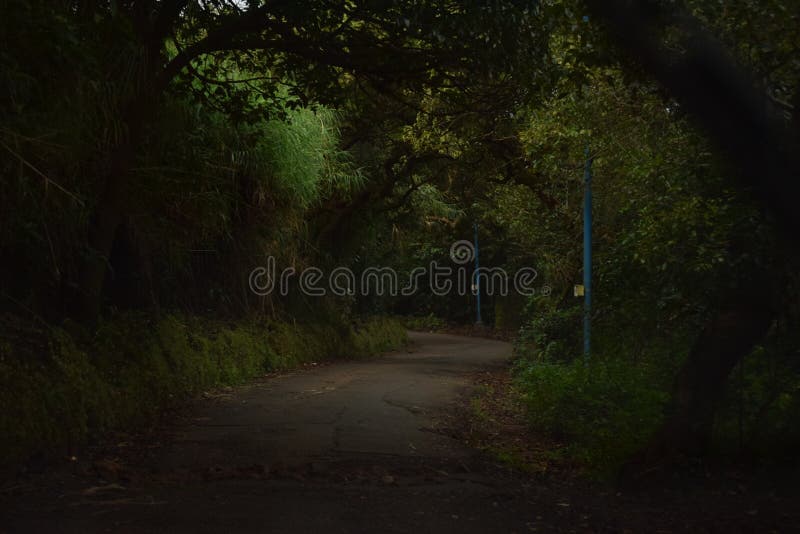 Evening walk view stock photo. Image of nature, evening - 83139332