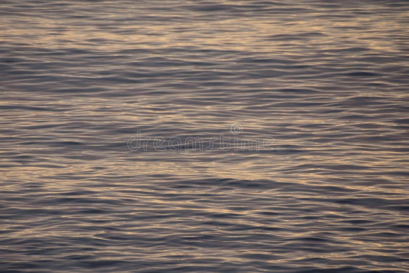 Evening water. Texture. stock image. Image of evening - 87783237