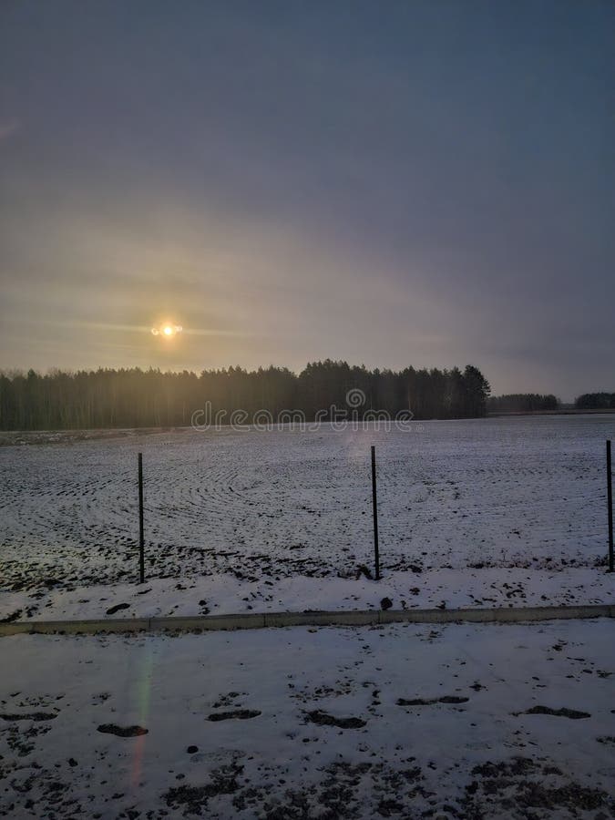 Evening in the Winter Arboretum Stock Photo - Image of light, frost ...