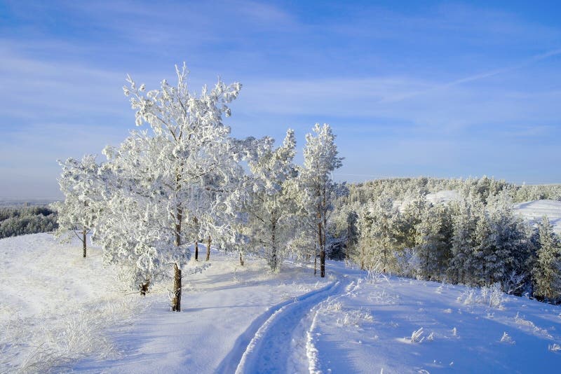 Evening winter landscape stock photo. Image of sunlight - 39176986