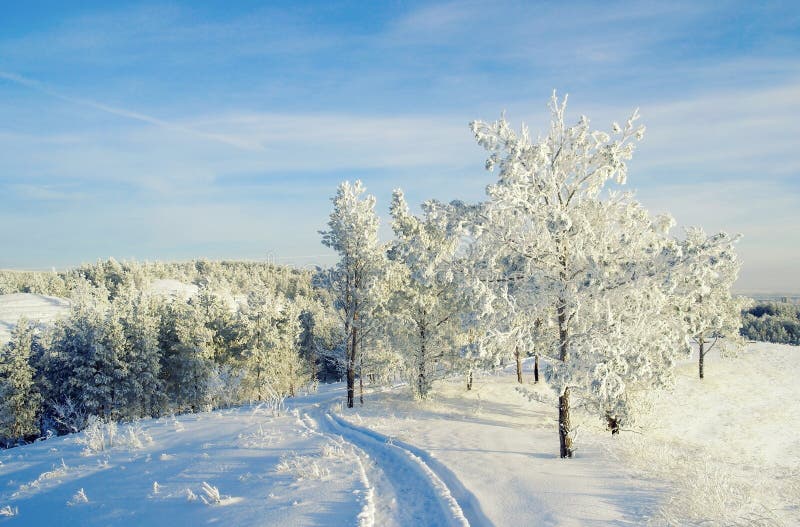 Evening winter landscape stock photo. Image of sunlight - 39176986