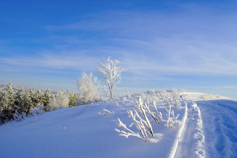 Evening winter landscape stock photo. Image of sunlight - 39176986