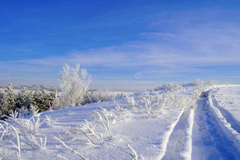 Evening winter landscape stock photo. Image of sunlight - 39176986