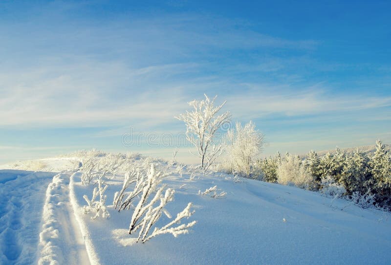Evening winter landscape stock photo. Image of sunlight - 39176986