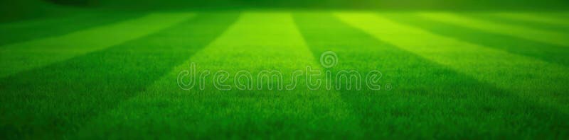 Evenly Cut Fairway Grass, Showing Subtle Striations and Texture , Grass ...