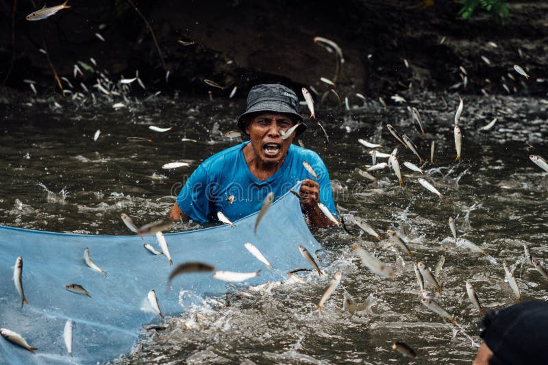 Event of Sasi Lompa in Haruku, Central Maluku Editorial Image - Image ...