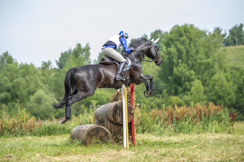 Eventing: Equestrian Rider Jumping Over an a Log Fence Obstacle Stock ...