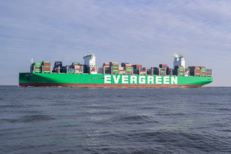 Ever Arm editorial image. Image of evergreen, large - 263163095