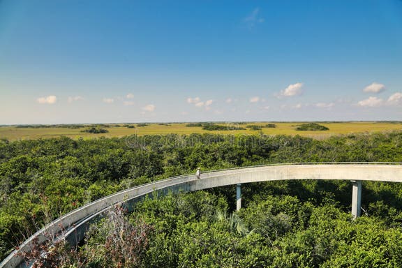 Everglades, Florida Scenery Tower Stock Photo - Image of view, scenery ...