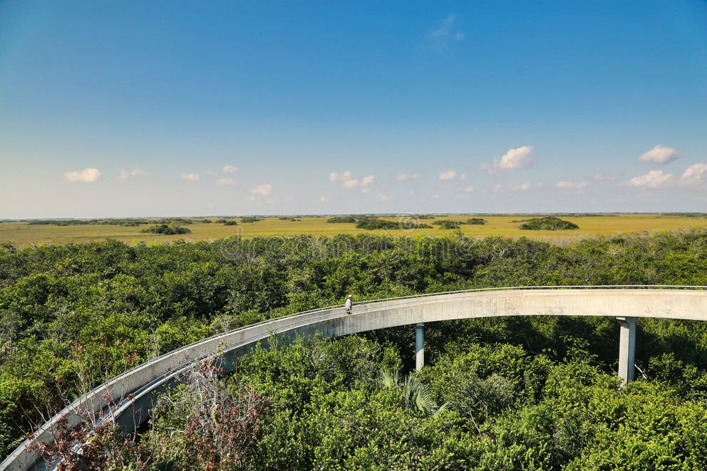 Everglades, Florida Scenery Tower Stock Photo - Image of view, scenery ...