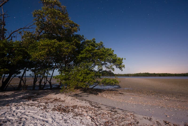 Everglades at Night stock image. Image of night, water - 30698699