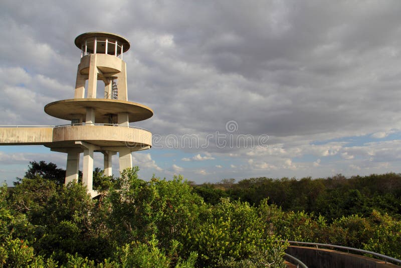 Everglades Observation Tower Stock Image - Image of park, naples: 28425721