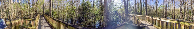 Everglades Swamps and Piers, Panoramic View Stock Photo - Image of ...