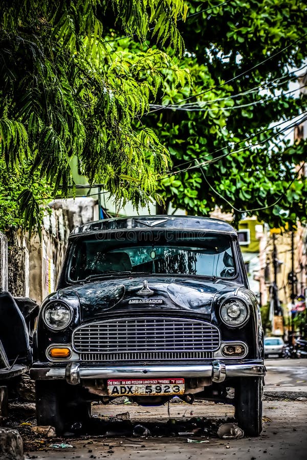 Ambassador editorial photo. Image of evergreen, black - 101838061