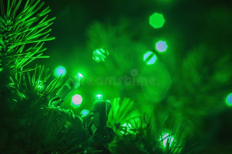 Evergreen and Christmas Lights Stock Image - Image of christmas ...
