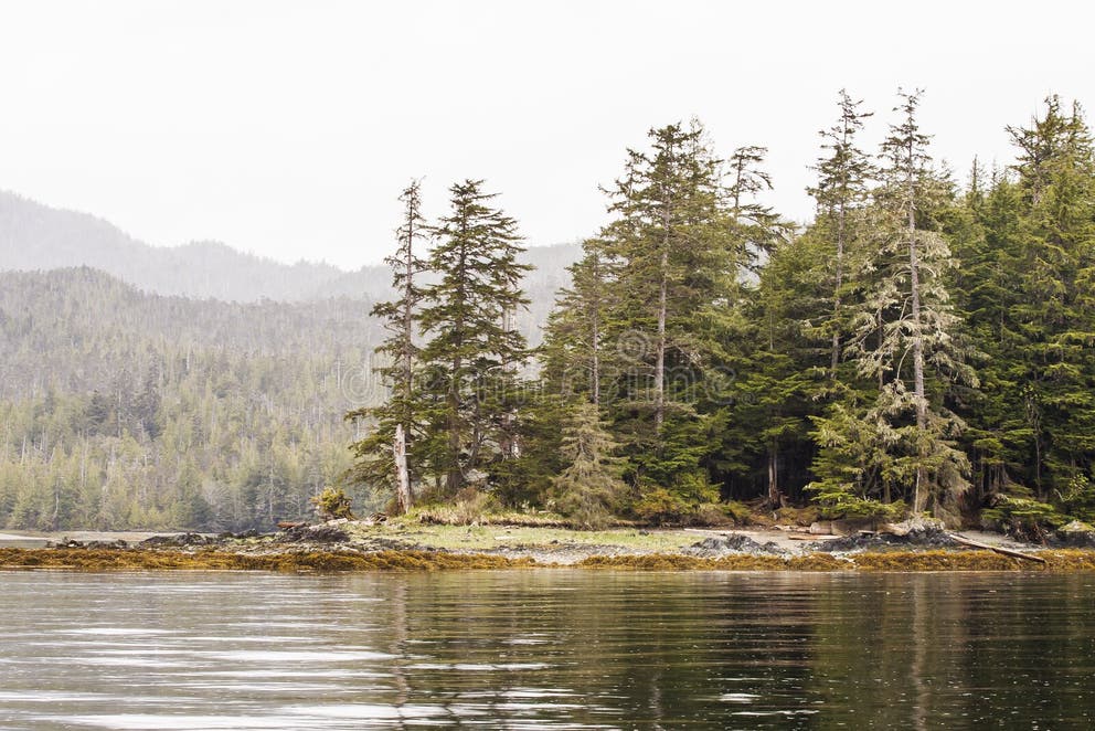 Evergreen Covered Point in Calm Water Stock Image - Image of land ...