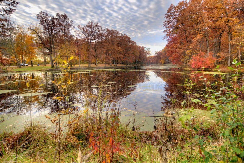 Evergreen fall vista stock image. Image of reflection - 11945327