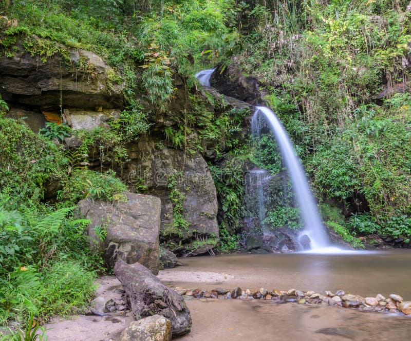 Evergreen Forest Waterfall in Chiang Mai, Thailand Stock Photo - Image ...