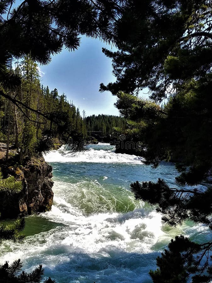 Evergreen Frame for Yellowstone River Stock Photo - Image of vantage ...